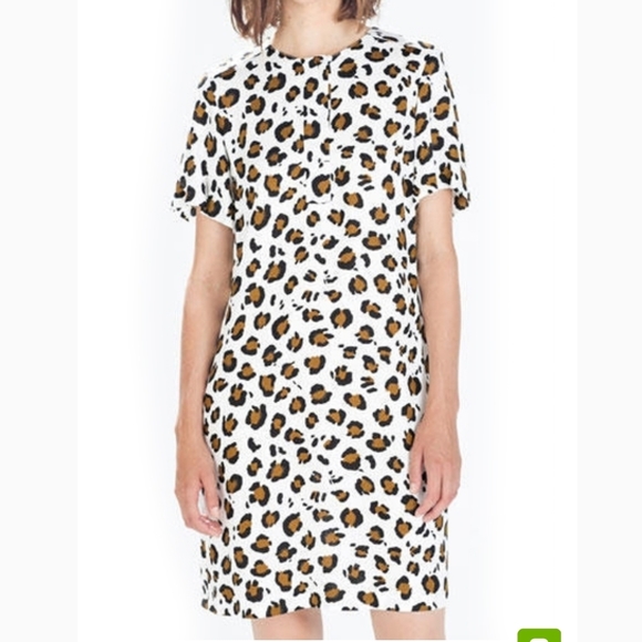 Zara | Dresses | Zara Leopard Print Dress With Back Zip Size S | Poshmark